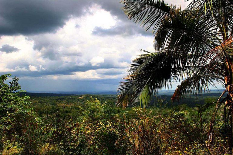 Galerie Tansania 2006 | BARIEZ | NINASAFIRI